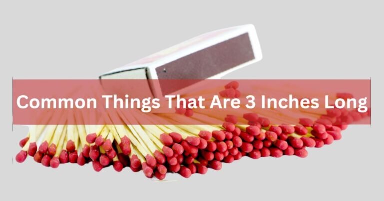 How Long Is 3 Inches? 9 Common Things That Are Three Inches Long ...