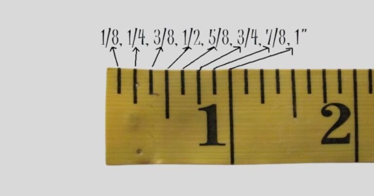 How Long is 2 Inches? 9 Common Objects That Are two Inches Long