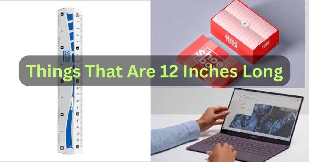How Long Is 12 Inches? 10 Common Things That Are 12" Long