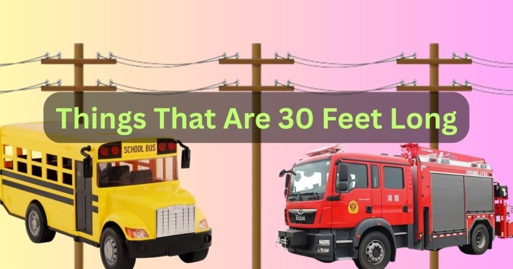 How Long Is 30 Feet? A Complete Guide with Real-Life Examples - SizeCrafter