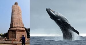 How Long Is 80 Feet? Complete Guide with Real-Life Examples