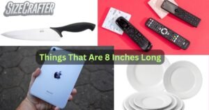How Long Is 8 Inches? 7 Common Things That Are 8 Inches Long